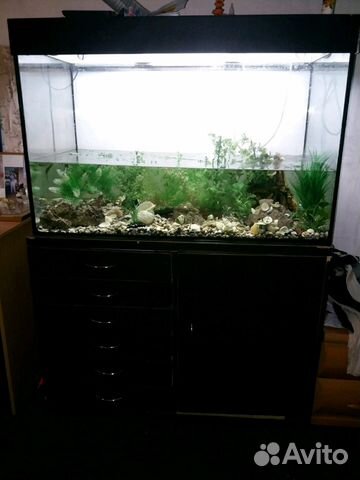 Аквариум 200 л