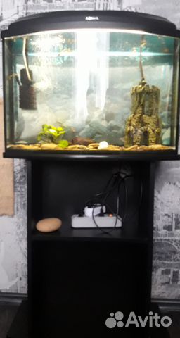 Аквариум Aquael P60 Classic +тумба