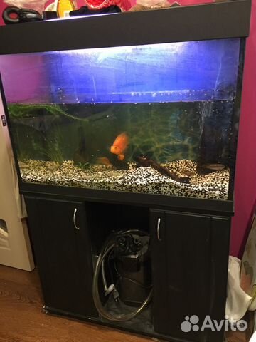 Аквариум б/у с внешним фильтром Тетра 800. И тумбо