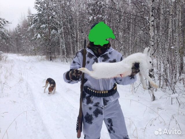Русская Гончая