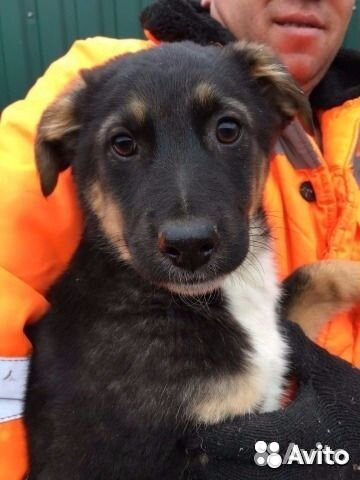 Оскар маленький, беззащитный мальчик. Небольшой, щ