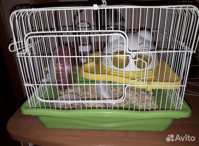 Хомяк и клетка