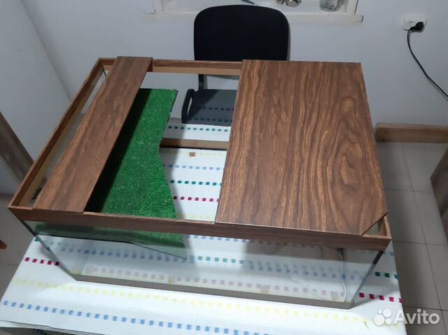 Черепашник новый