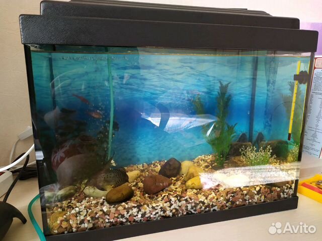 Аквариум 30л