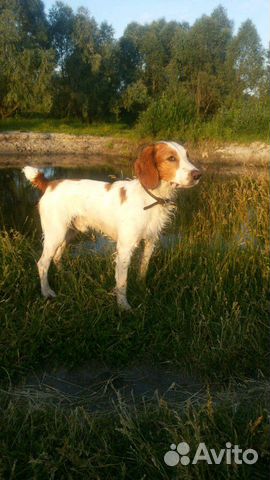 Ищем подругу