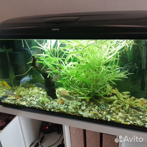 Аквариум 200 литров (Комплект) село Балтым
