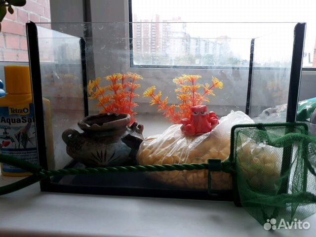 Аквариум