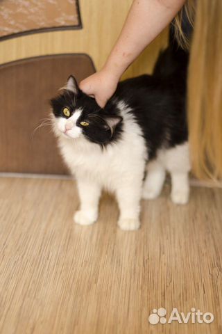 Море в ваш дом