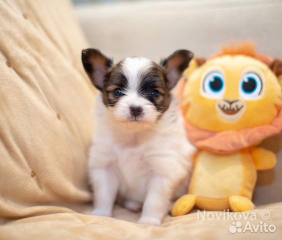 Крошка хорошка :)