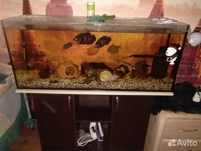 Аквариум 222 л