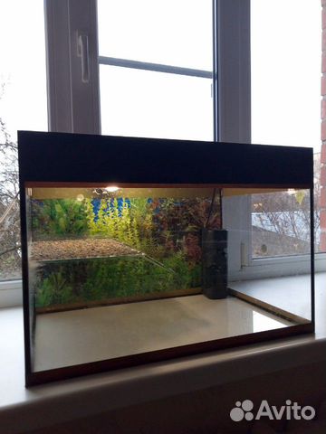 Аквариум черепашатник