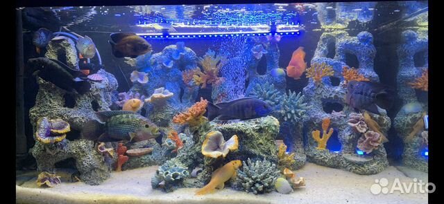 Аквариумный декор