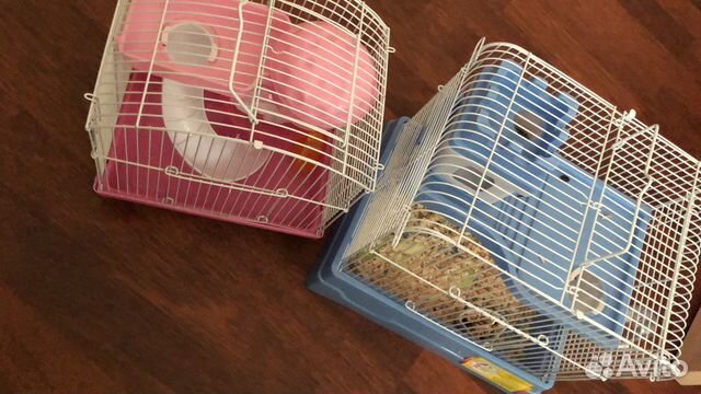 Джунгарики с клеткой