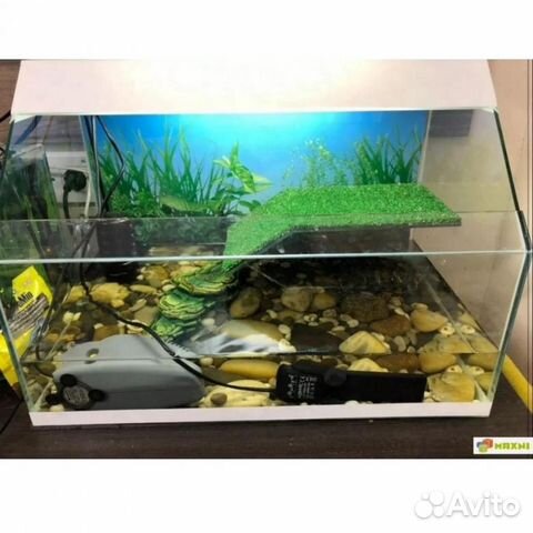 Аквариум с подсветкой, вместе с красноухой черепаш