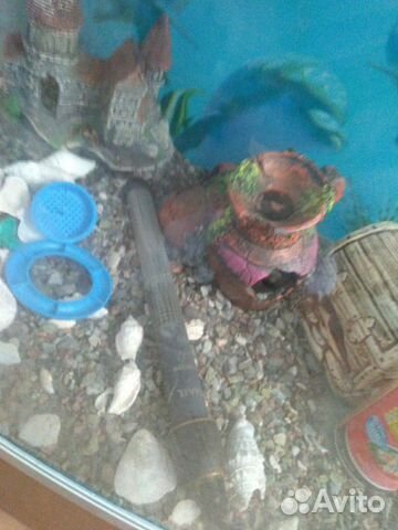 Аквариум jebo 60