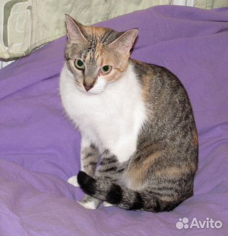 Марья. Молодая умница