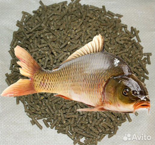 Комбикорм - прикормка для рыб фасовка по 1 кг