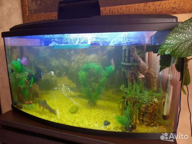 Аквариум