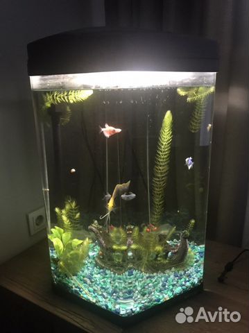 Аквариум Boyu LJ-430 68 л