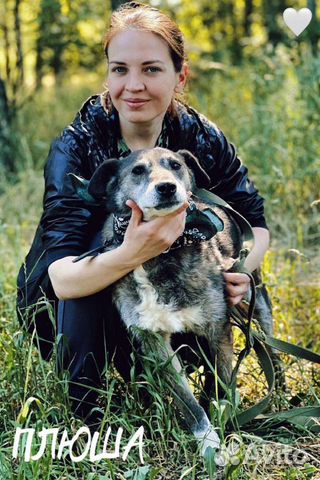 Старушке Плюше нужен дом