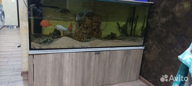 Аквариум на 450л