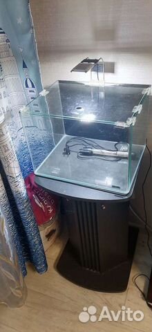 Аквариум денерли