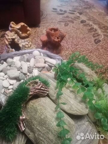 Украшение для аквариума