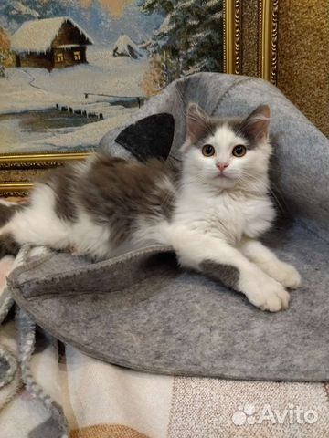 Очень красивый мальчик