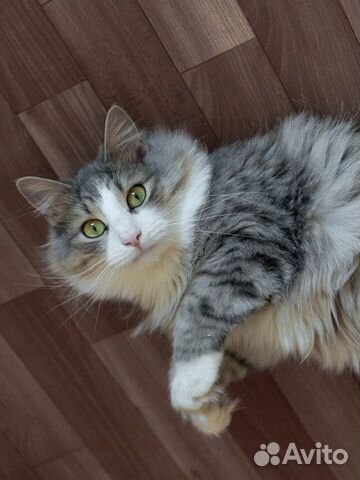 Если с другом вышел в путь