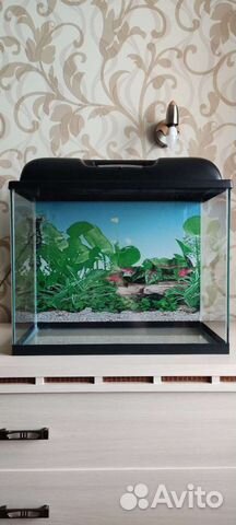 Аквариум