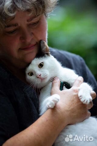 Мелкий душевный котик в дар