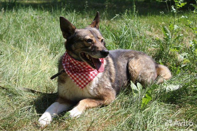 Тома хочет найти свою семью и любовь