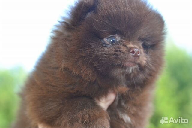 Маленький Егорка