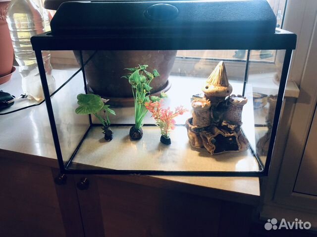 Аквариум