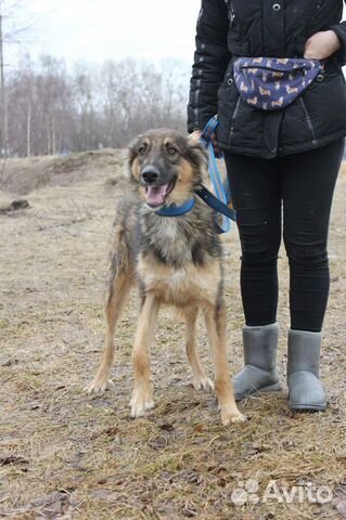 Хасана хотели усыпить