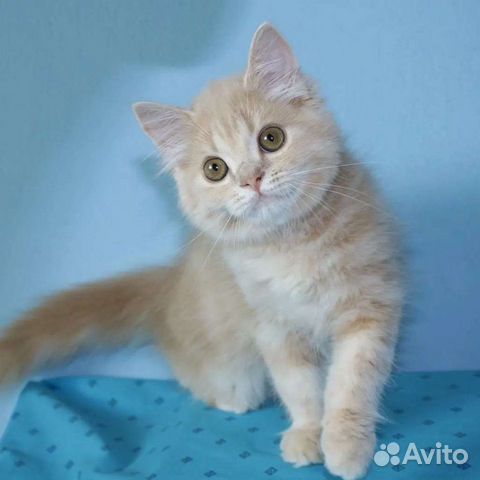 Брутальный парень Urman