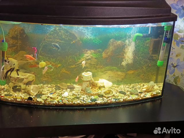 Аквариум с рыбками