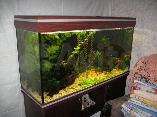 Аквариум 288л с тумбой и освещением