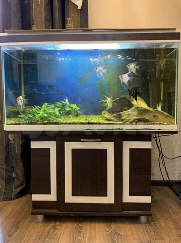 Аквариум 200л с тумбой+рыбки