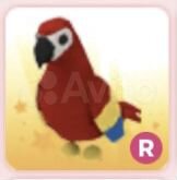 Лимитный Попугай. Адопт ми