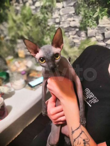 Девочка ищет мальчика