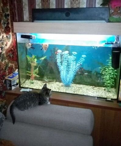 Аквариум, гуппи, грелка, грот, фильтр